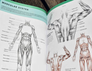 The Art of Figure Drawing for Beginners, a Book for Serious Artists ...